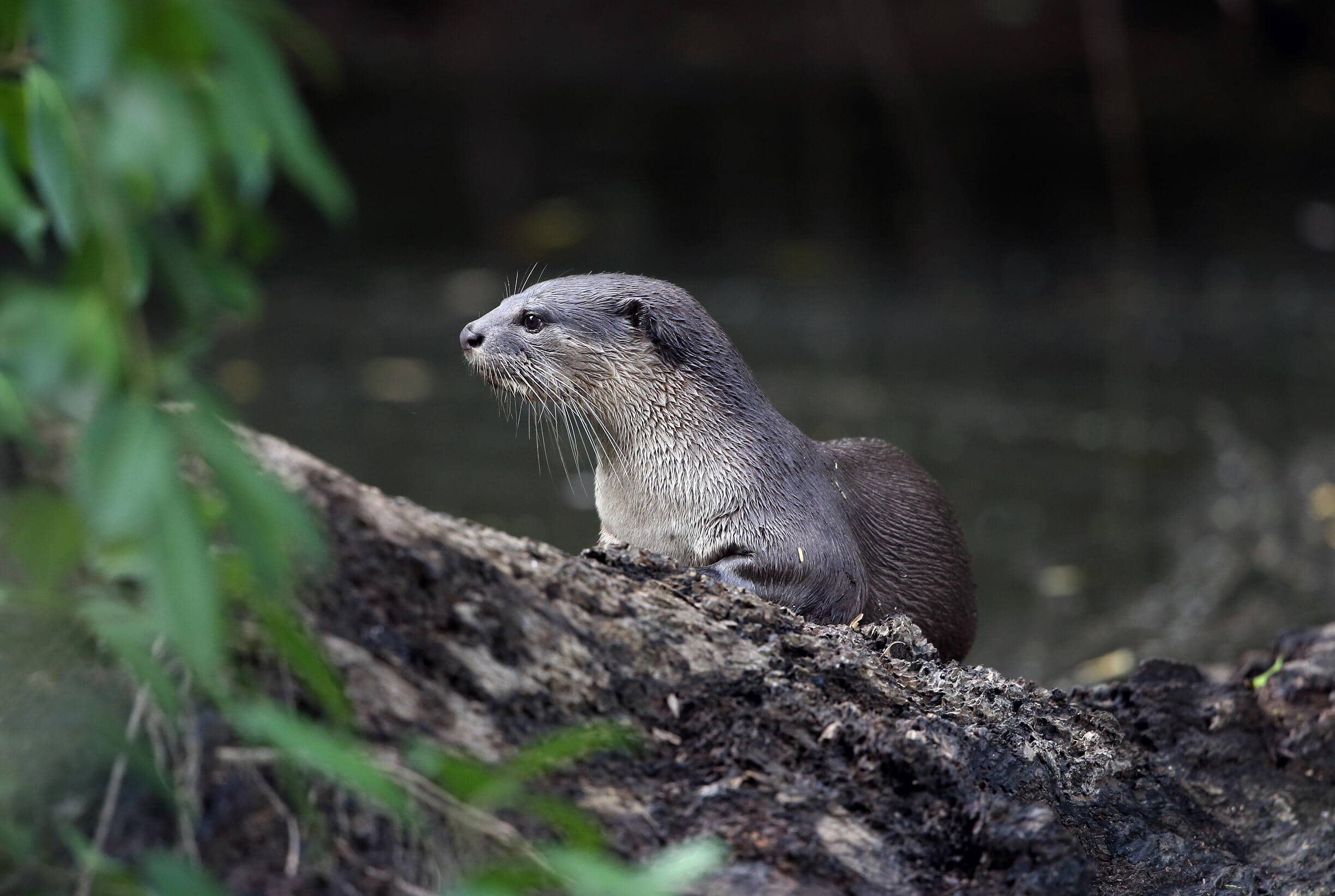 4 Things to look out for at Singapore’s New Round Island Route - Geneco