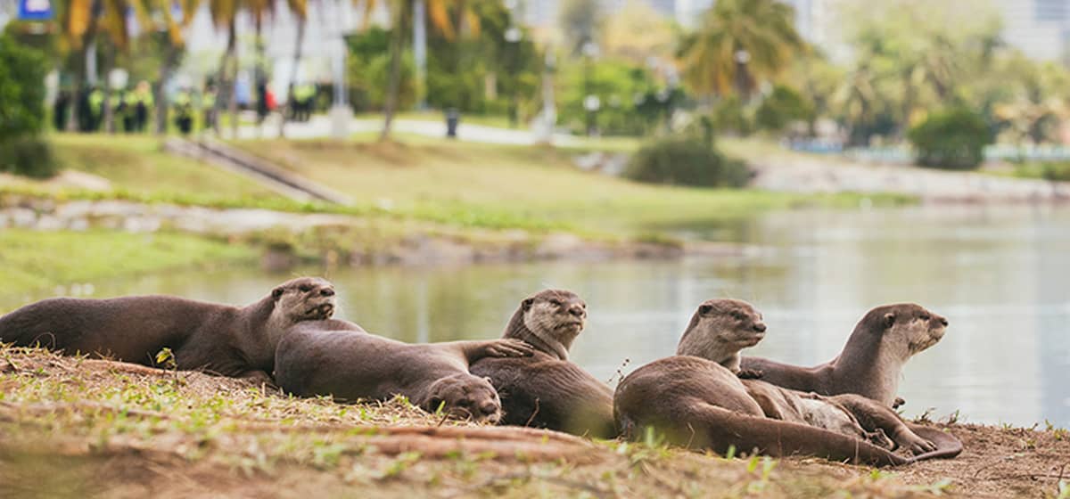 5 Nature Reserves to Embark on a Wildlife Spotting Adventure - Geneco