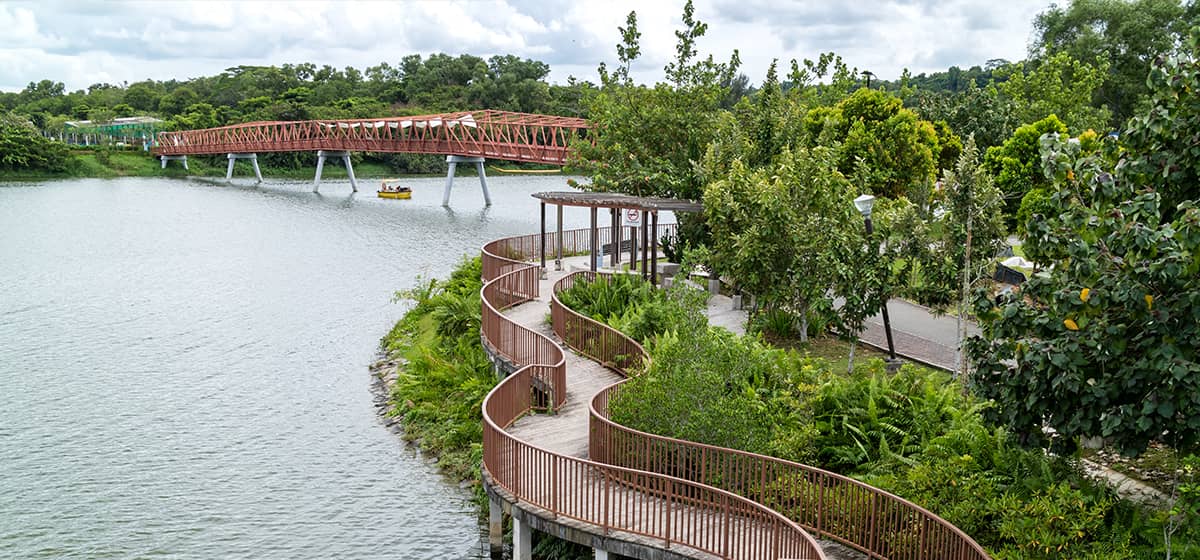 3 Lesser-known Facts about Singapore’s “Garden City” Vision - Geneco